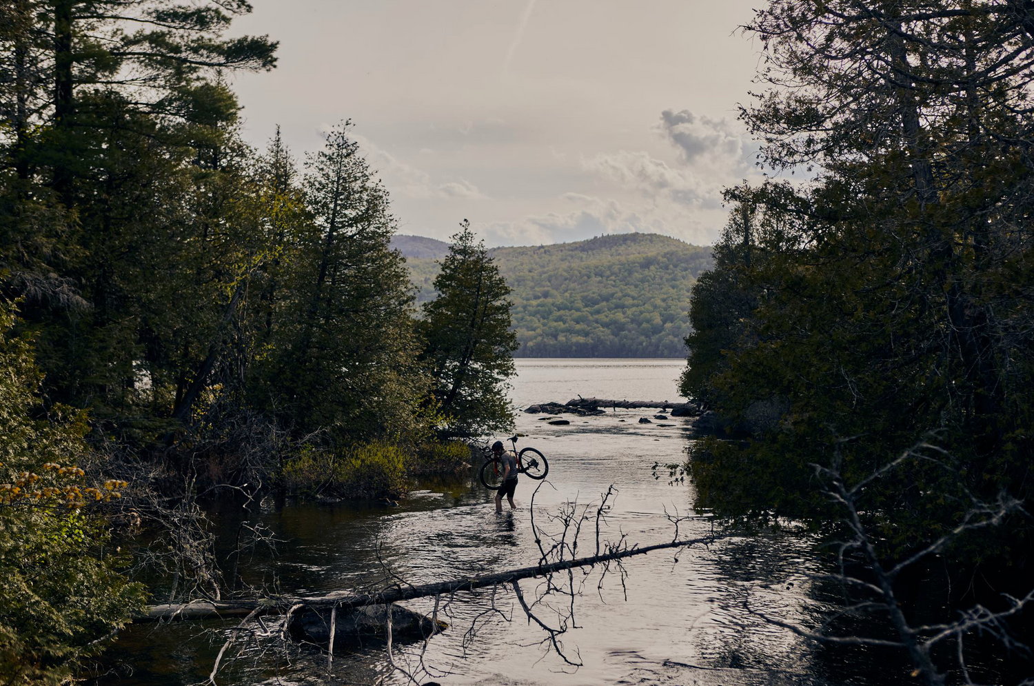 Fat Bike 2 V.1 – Lama Cycles